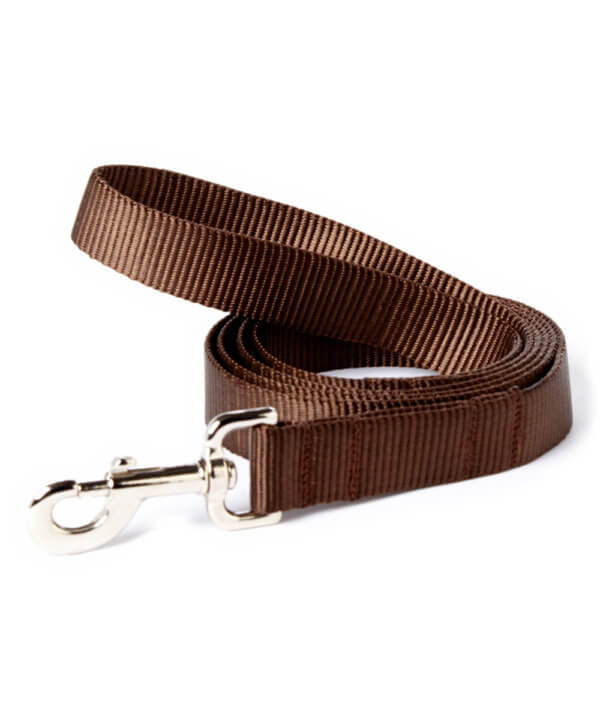 Choco Brown Nylon Webbing Collar