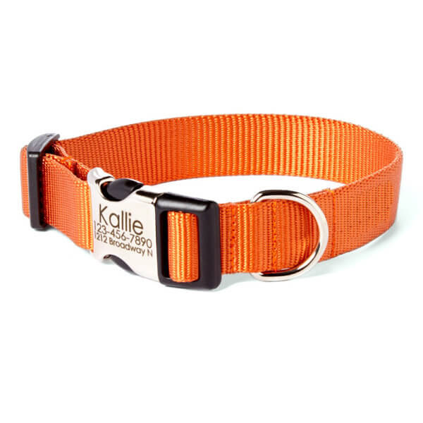 Pumpkin Orange Nylon Webbing Collar