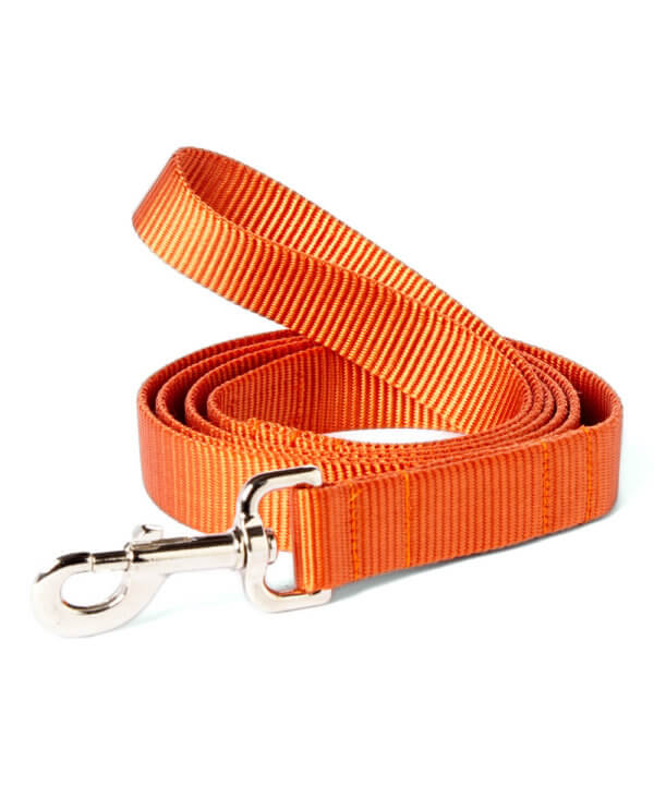 Pumpkin Orange Nylon Webbing Collar