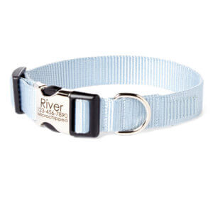 Dolphin Blue Nylon Webbing Collar