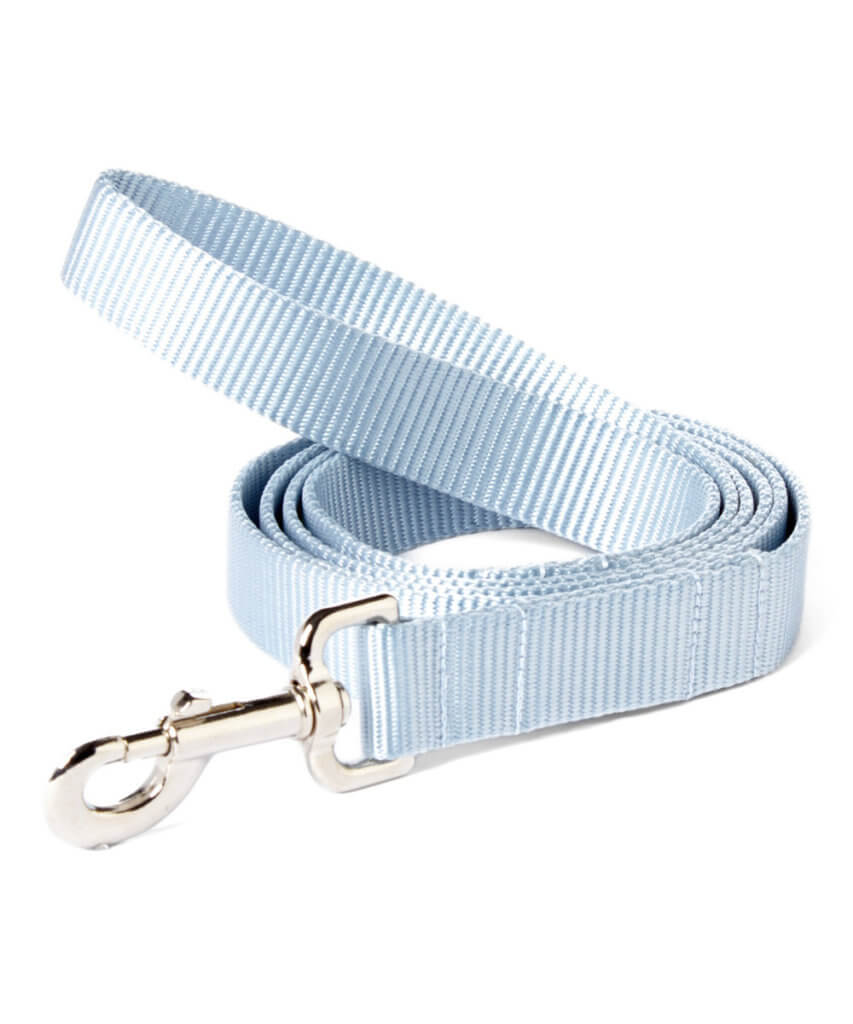Dolphin Blue Nylon Webbing Collar