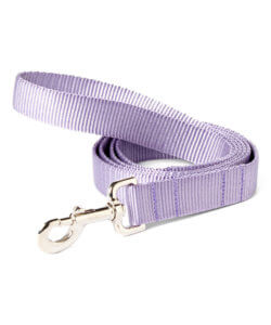 Hand Embroidered Dog Leash - All Nylon Webbing Colors