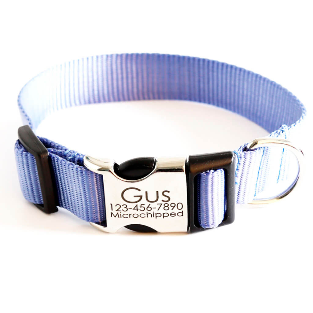 Sky Periwinkle Blue Nylon Webbing Collar