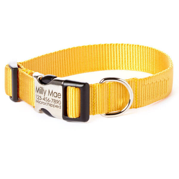 Sunshine Yellow Nylon Webbing Collar