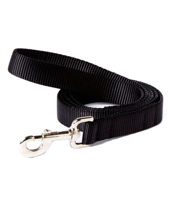 Black Nylon Webbing Collar