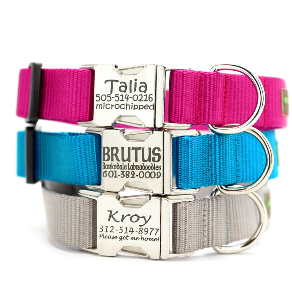 Engraved Personalized Nylon Webbing Dog Collar | $32.99
