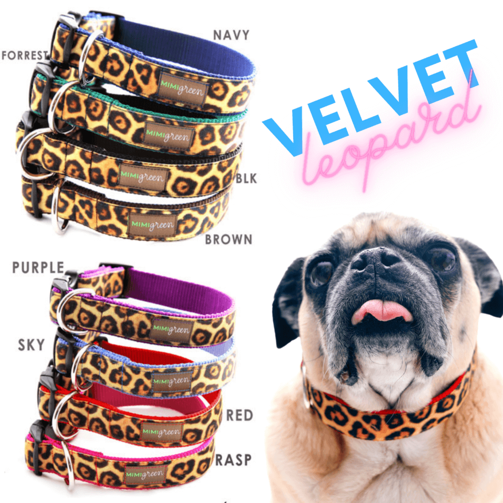 Leopard Print Dog Collar | Custom Colors and Sizes