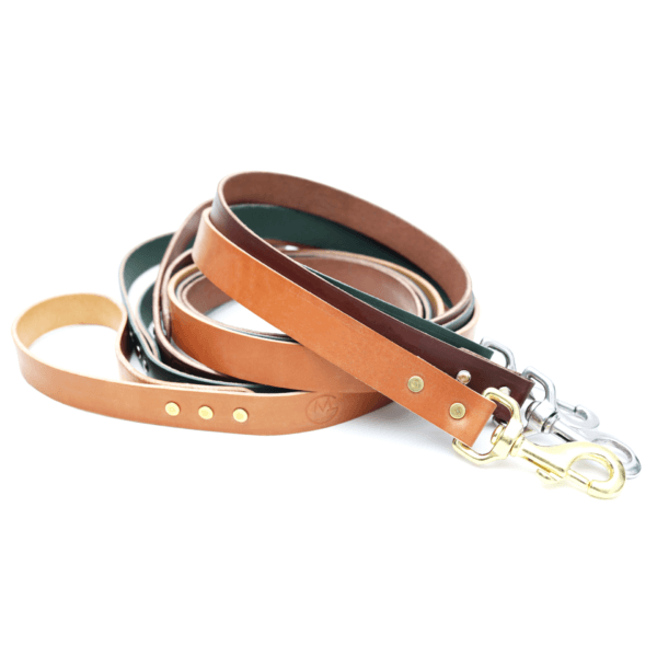 Dog Leash Types: A Guide to 6 Popular Leashes