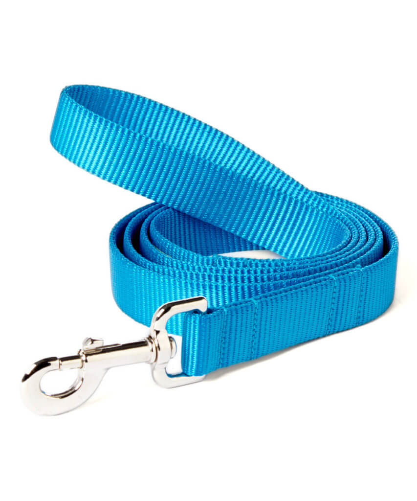 Peacock Blue Nylon Webbing Collar
