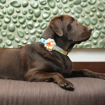 Designer Dog Collars - Custom & Handmade - Shop Mimi Green