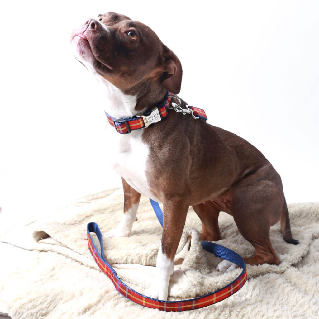Scotty - Traditional Plaid Dog Collar with Laser Engraved Buckle