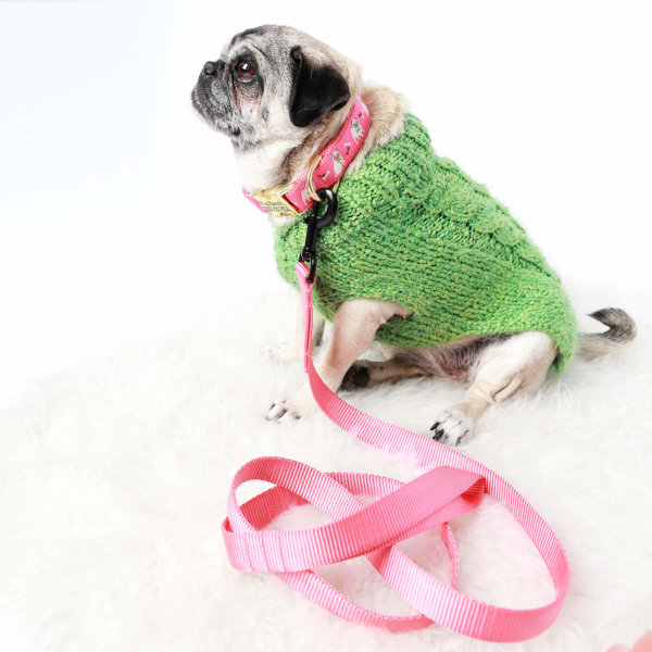 Pug Dog Collar - Woven Ribbon & Nylon Webbing - Limited Edition
