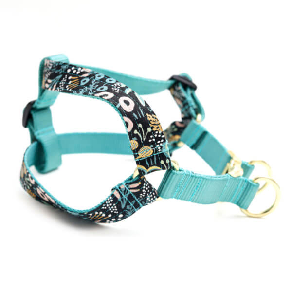 Personalized & Custom Dog Harnesses - Shop 100s of Styles