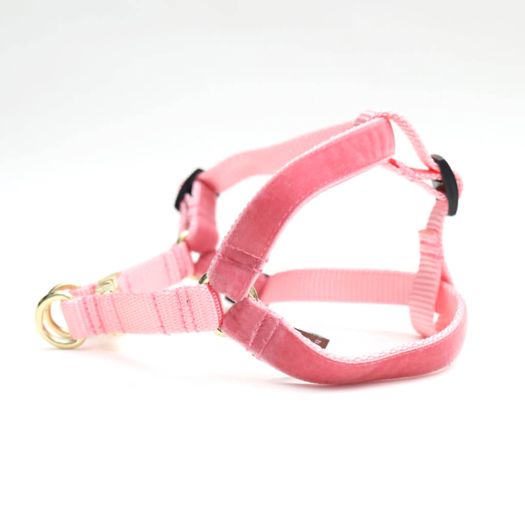 STEP IN Velvet Dog Harness | Customizable | Made in the USA