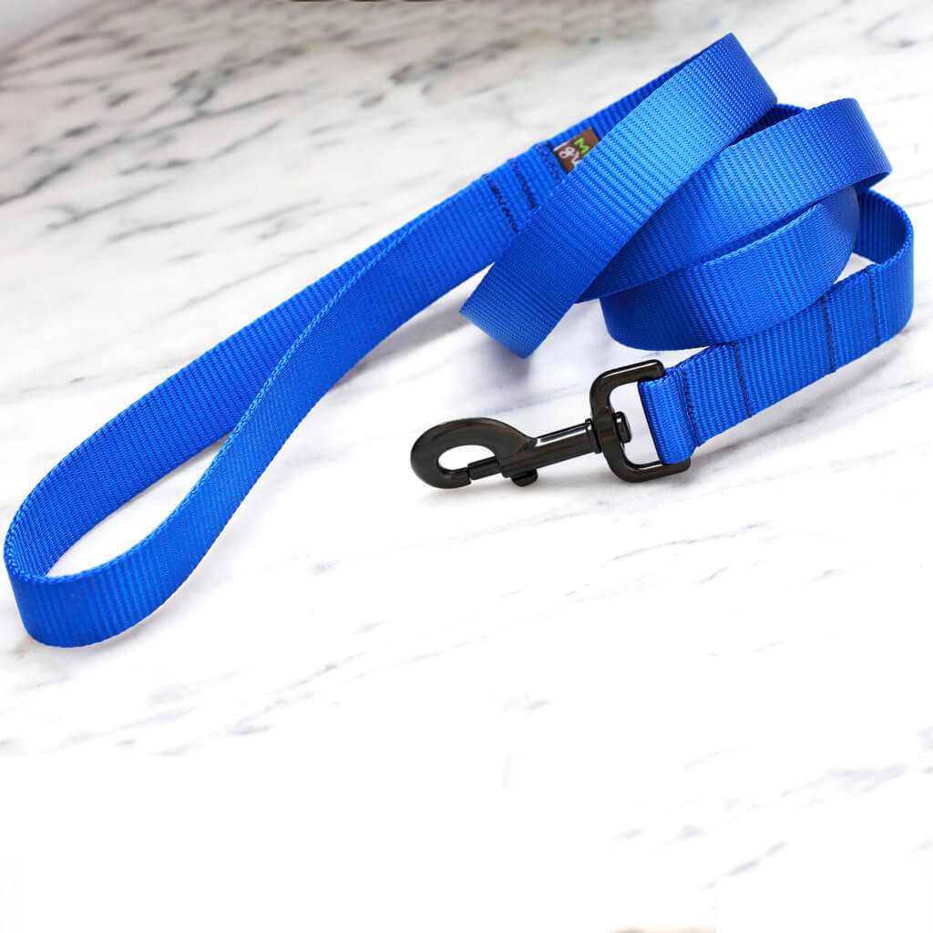 Royal Blue Nylon Webbing Collar with Choice of Buckle