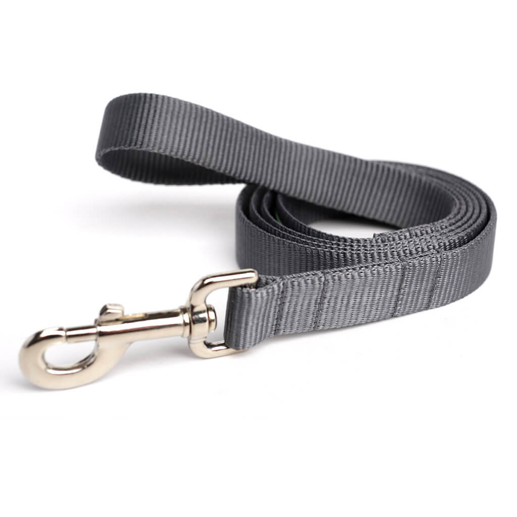 Hand Embroidered Dog Leash - All Nylon Webbing Colors