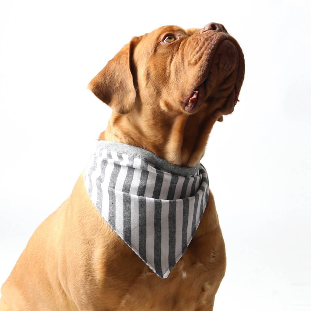 Dog Collars Handmade In the USA | About Us | Mimi Green