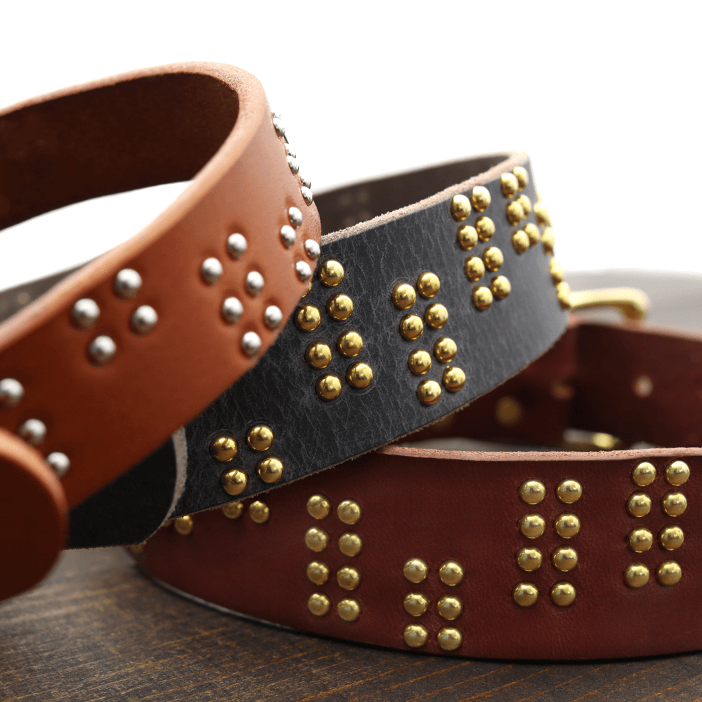 Silver & Brass Studded Leather Dog Collar - Digital Pattern