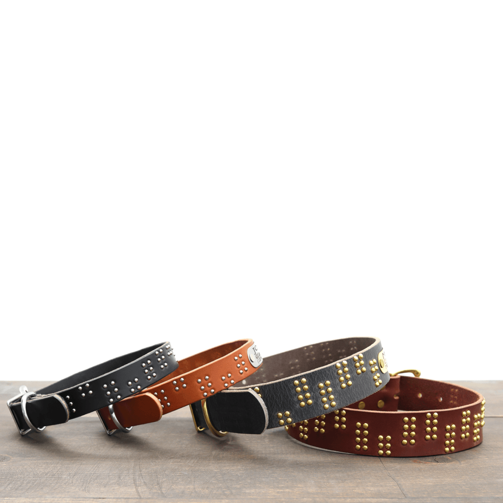 Silver & Brass Studded Leather Dog Collar - Digital Pattern