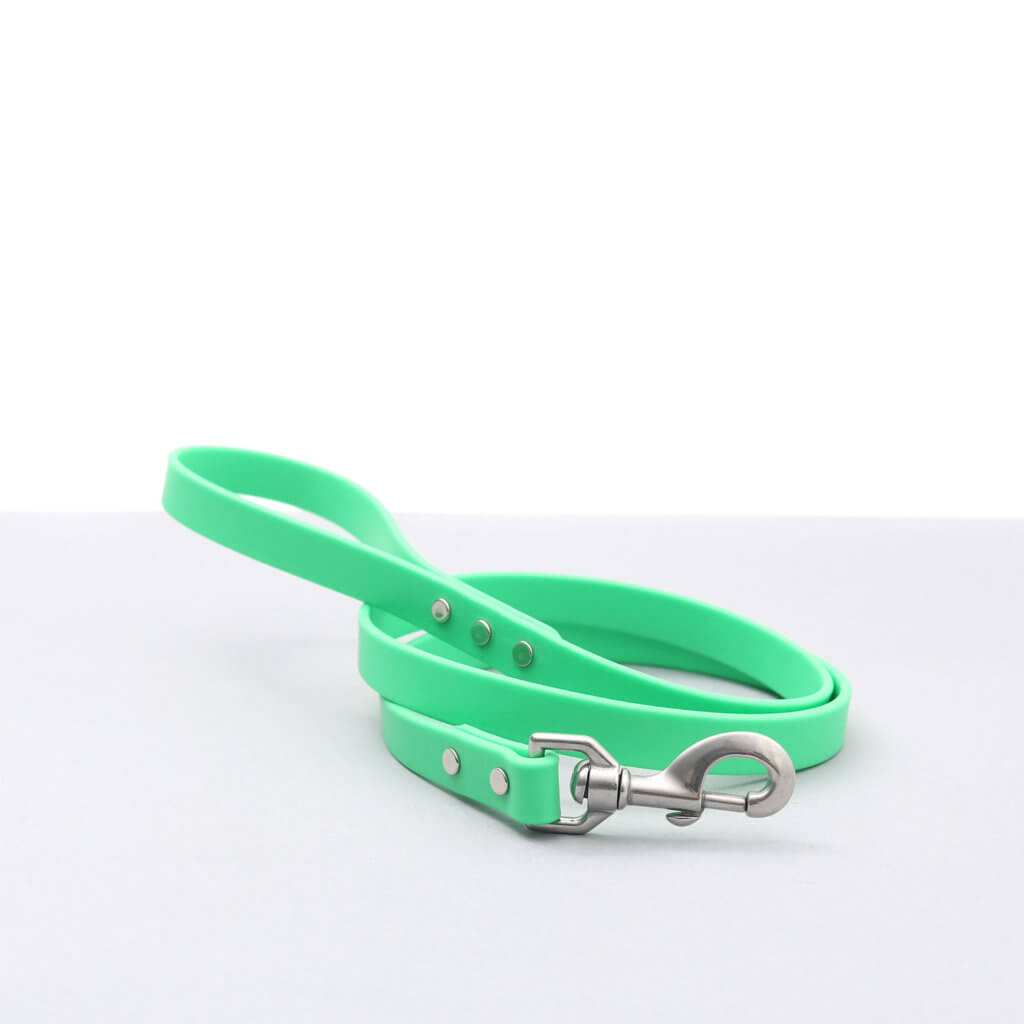 Custom & Personalized Designer Dog Leashes - Shop at Mimi Green