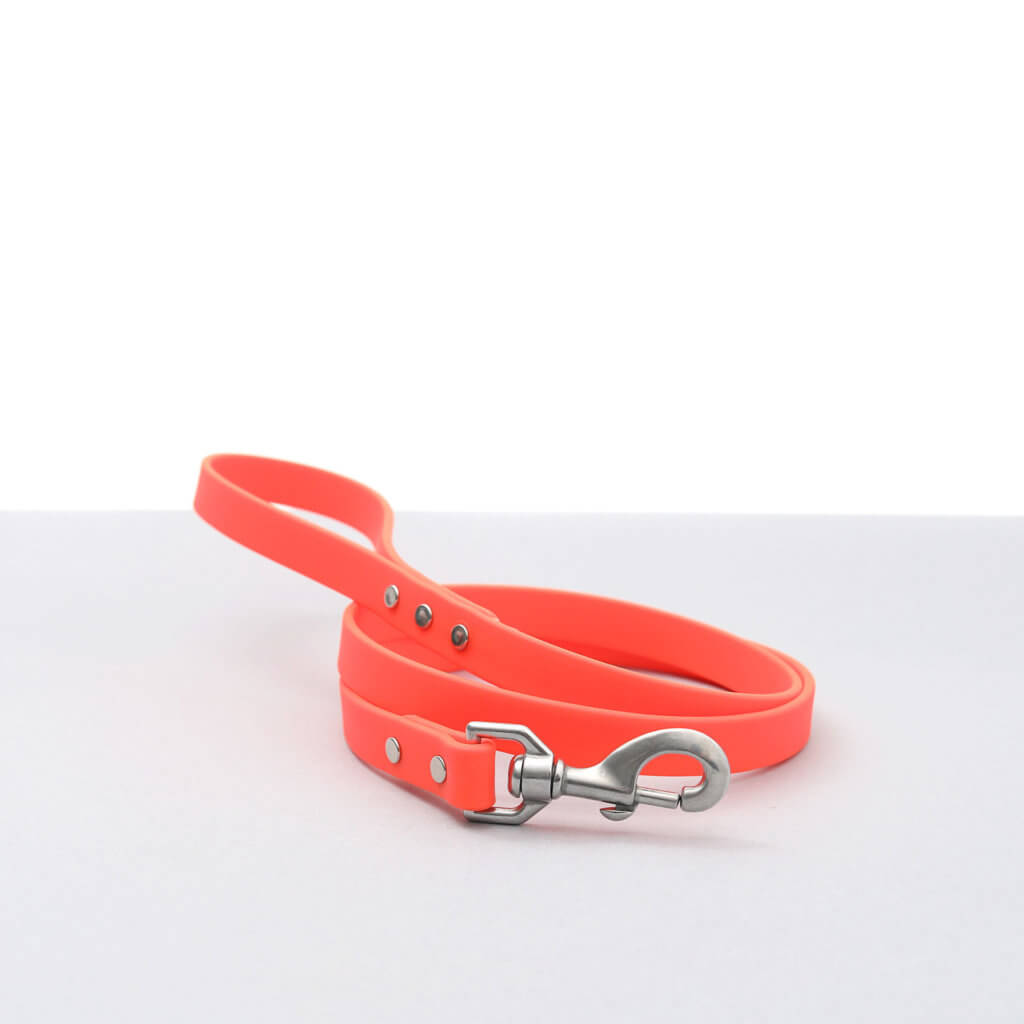 Custom & Personalized Designer Dog Leashes - Shop at Mimi Green