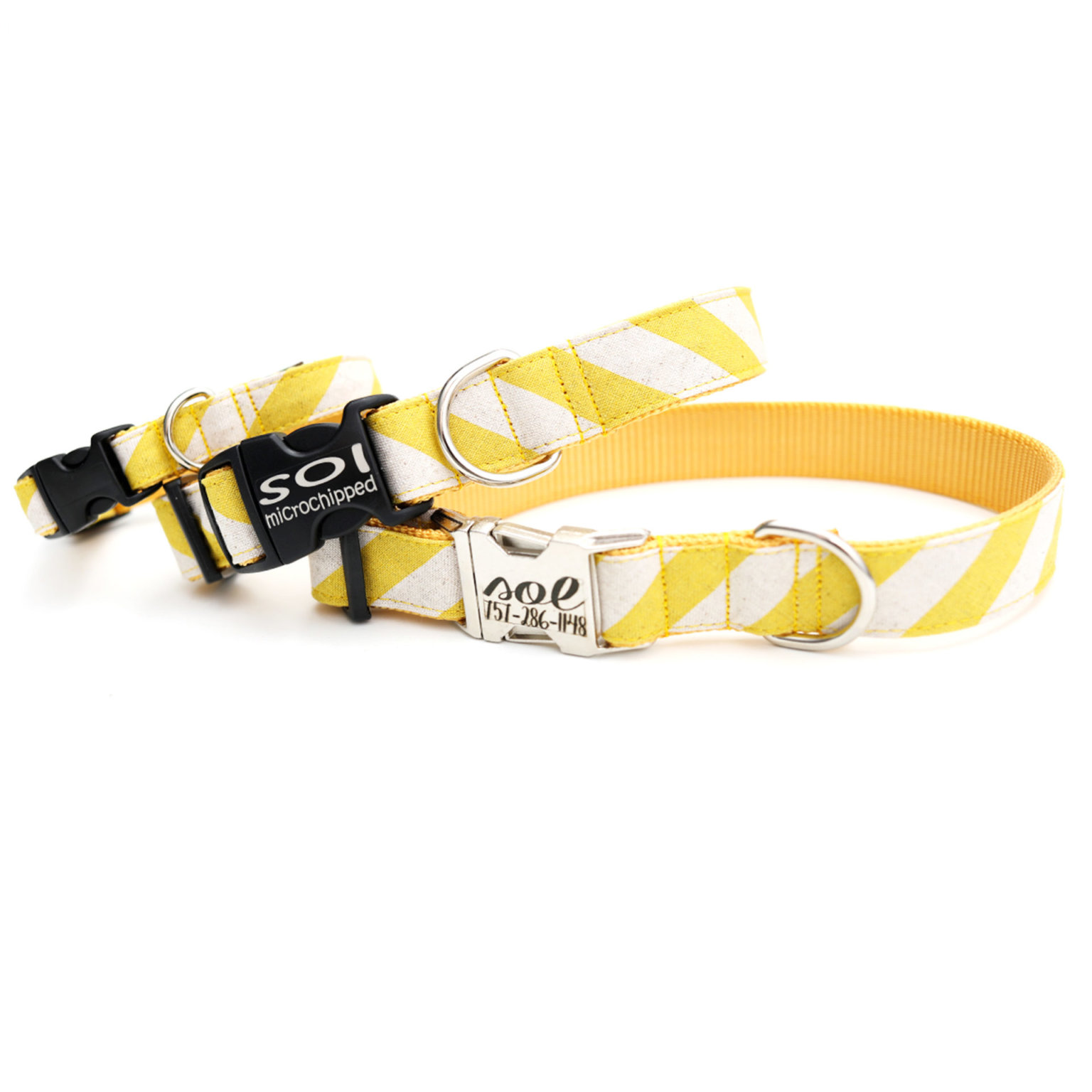 Fi Compatible Canvas Dog Collars - Personalized | Mimi Green