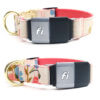 Fi Compatible Canvas Dog Collars - Personalized | Mimi Green