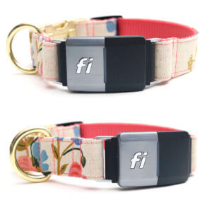 Designer Dog Collars: Custom & Handmade | Mimi Green
