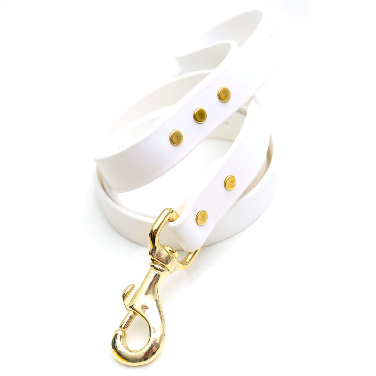 Custom & Personalized Designer Dog Leashes - Shop at Mimi Green