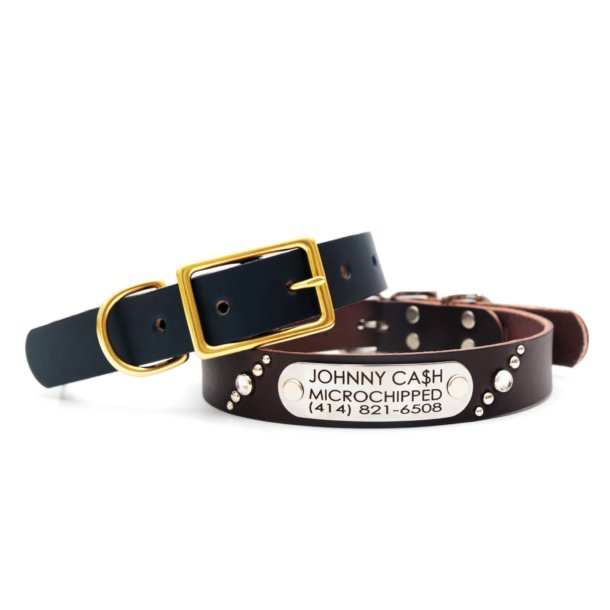 Dog Collar With Nameplate | Custom | 20 Colors & 22 Styles