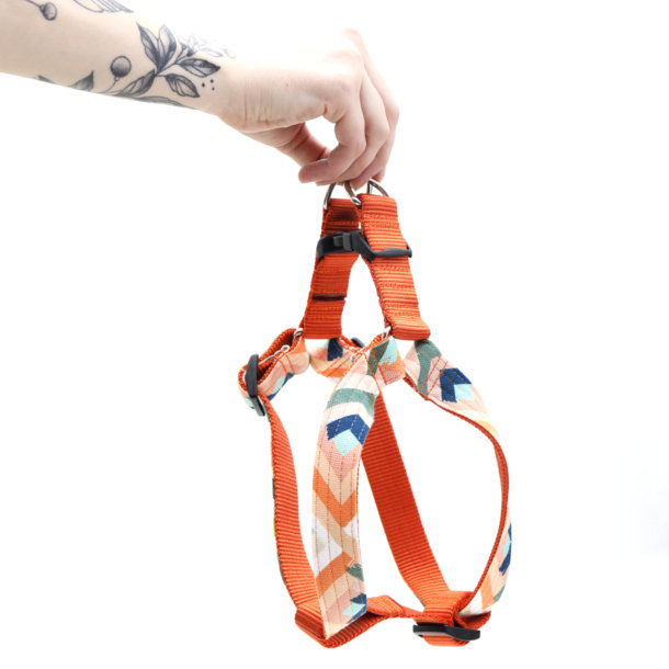 Personalized & Custom Dog Harnesses - Shop 100s of Styles