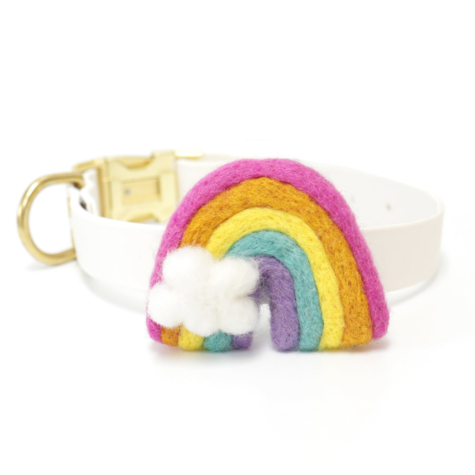 Rainbow Dog Collar Accessory