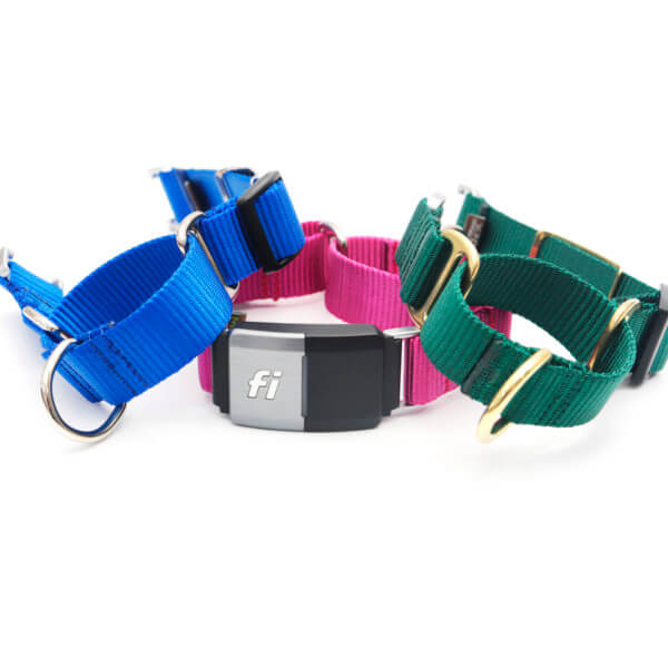 Fi Compatible Collars & Bands | Personalizable | Mimi Green