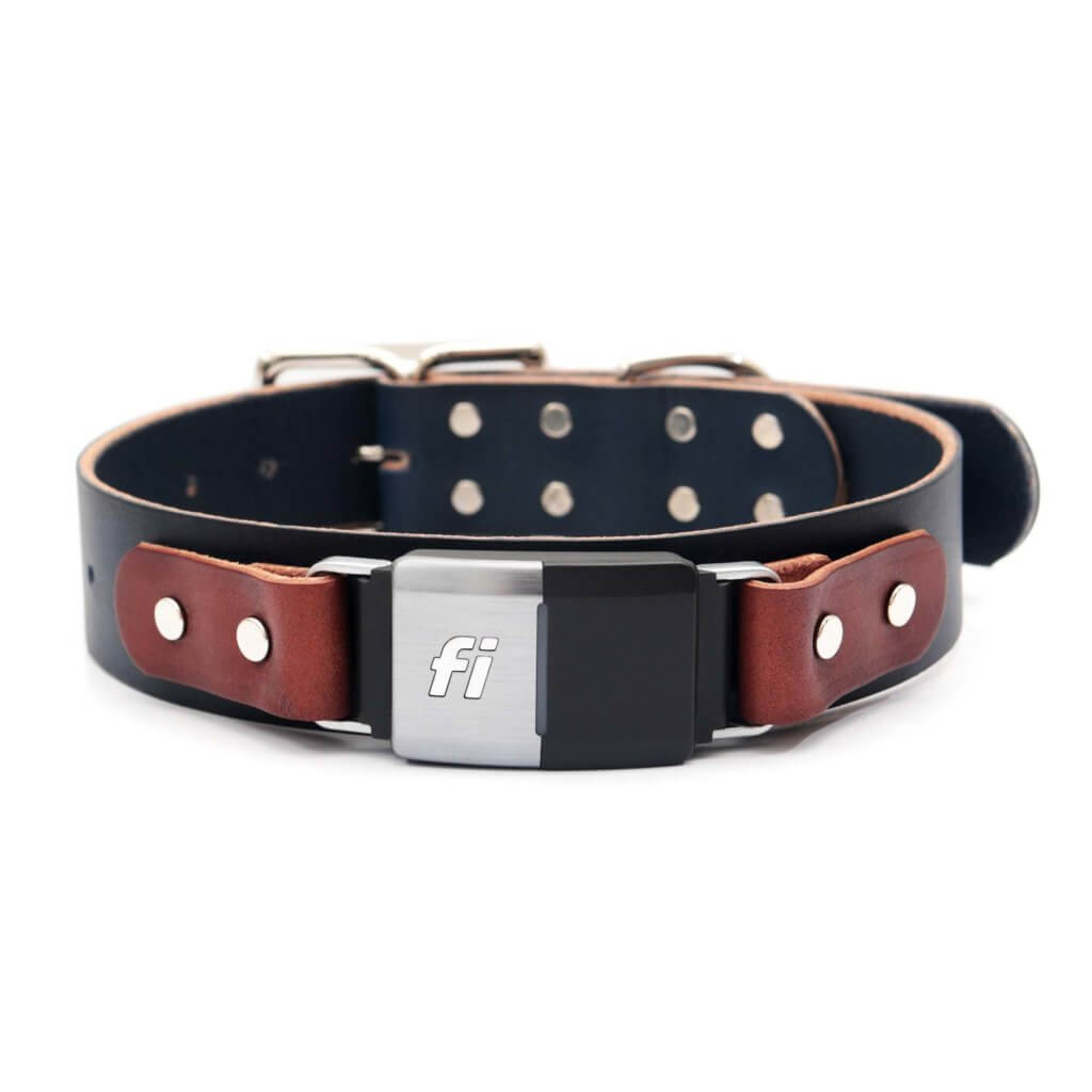 Leather Dog Collar | Fi Compatible | Color & Size Options
