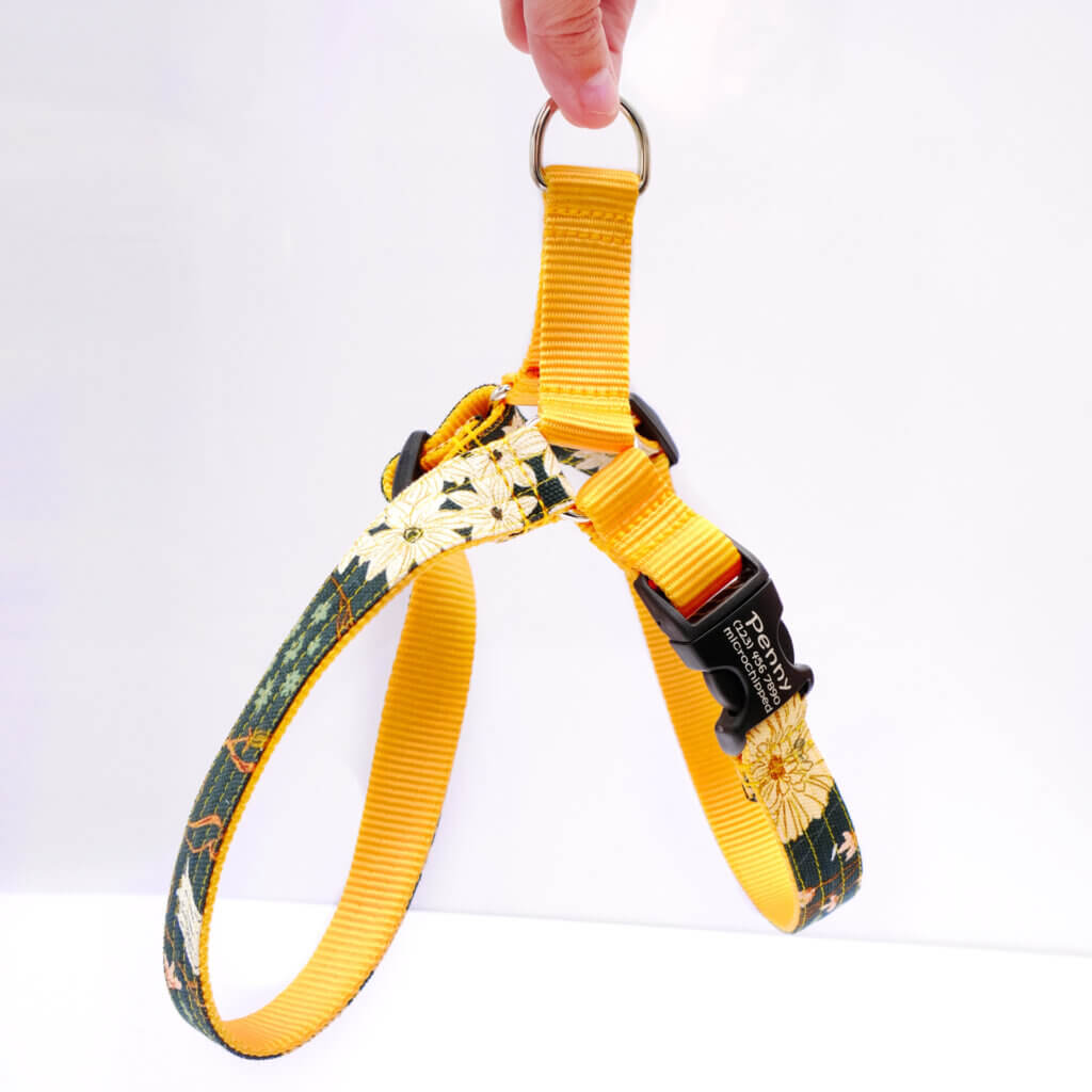 Personalized & Custom Dog Harnesses - Shop 100s of Styles