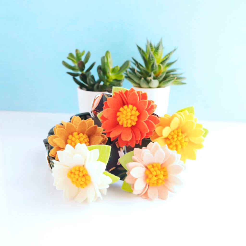 Dog Collar Flowers | Handmade by Mimi Green