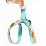 Personalized & Custom Dog Harnesses - Shop 100s of Styles