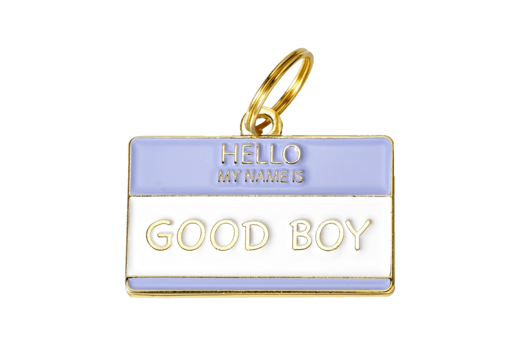 Good Boy & Good Girl Pet Name Tag