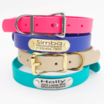 Fi Compatible Collars & Bands | Personalizable | Mimi Green