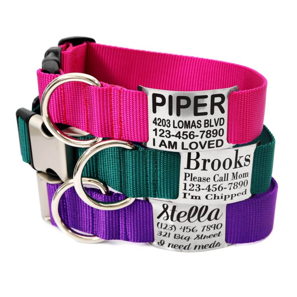 Nylon Dog Collars - Personalized & Heavy Duty