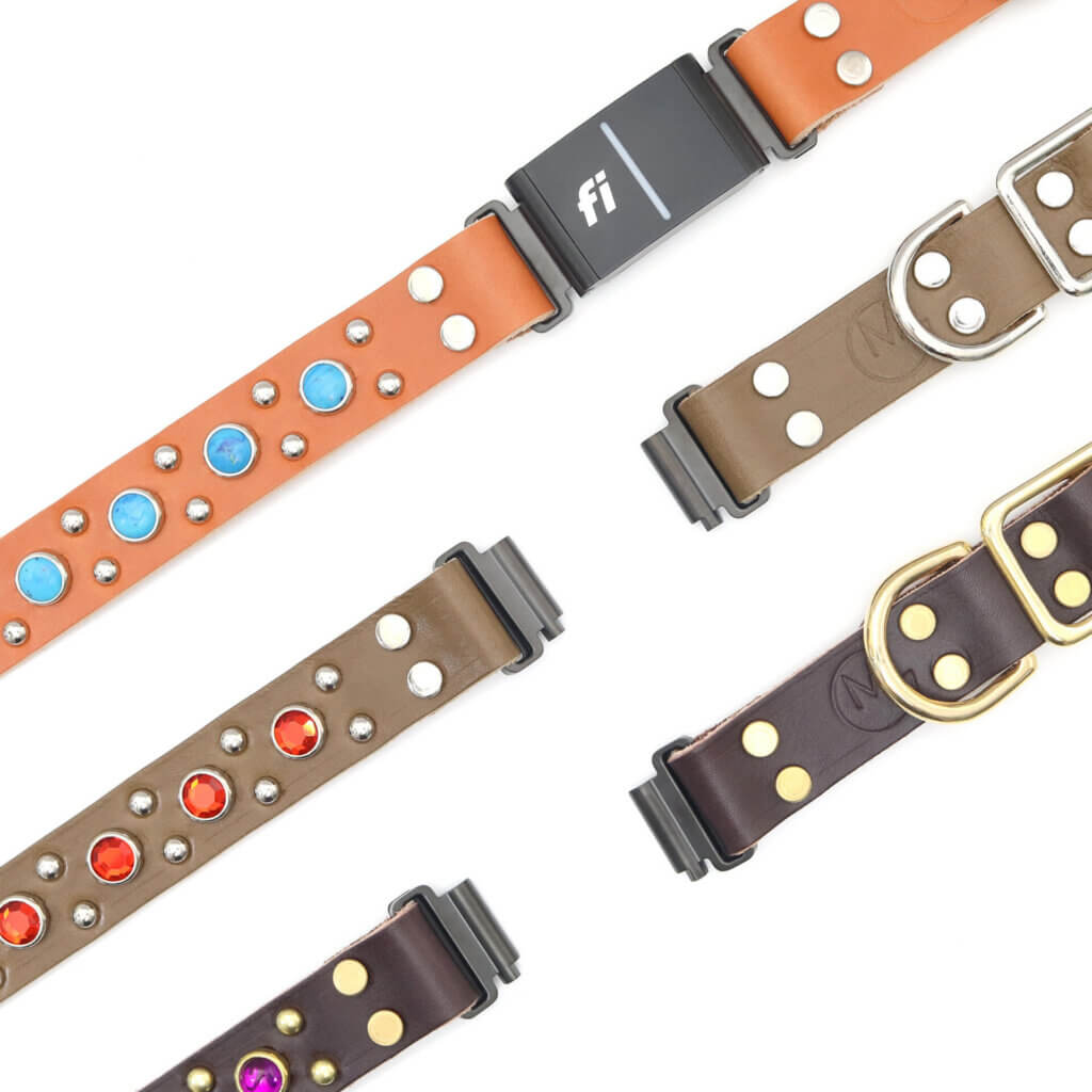 Studded Leather Fi Compatible Belt Buckle Dog Collar