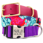 Dog Collar Size Chart: Fitting Guide For All Breeds