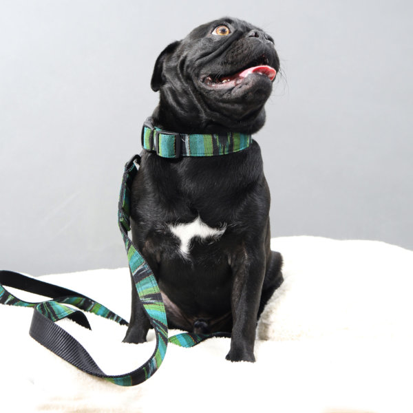 Palmo Guatemalan Fabric Martingale Dog Collar