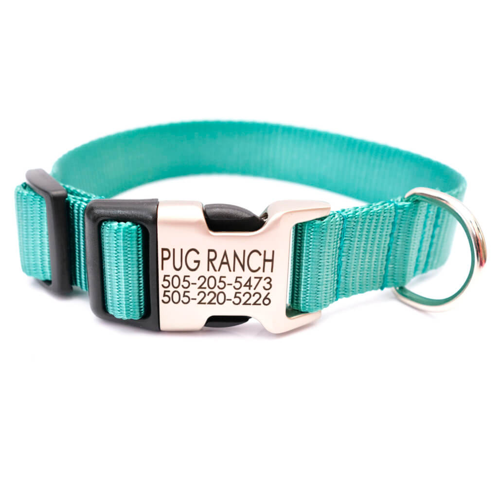 Teal Nylon Webbing Collar