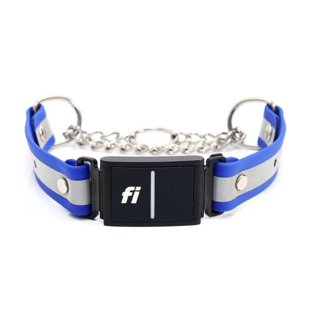 Reflective Waterproof Fi Compatible Martingale Dog Collar