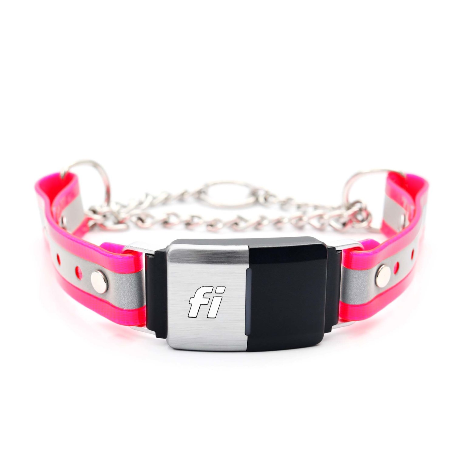 Reflective Waterproof Fi Compatible Martingale Dog Collar