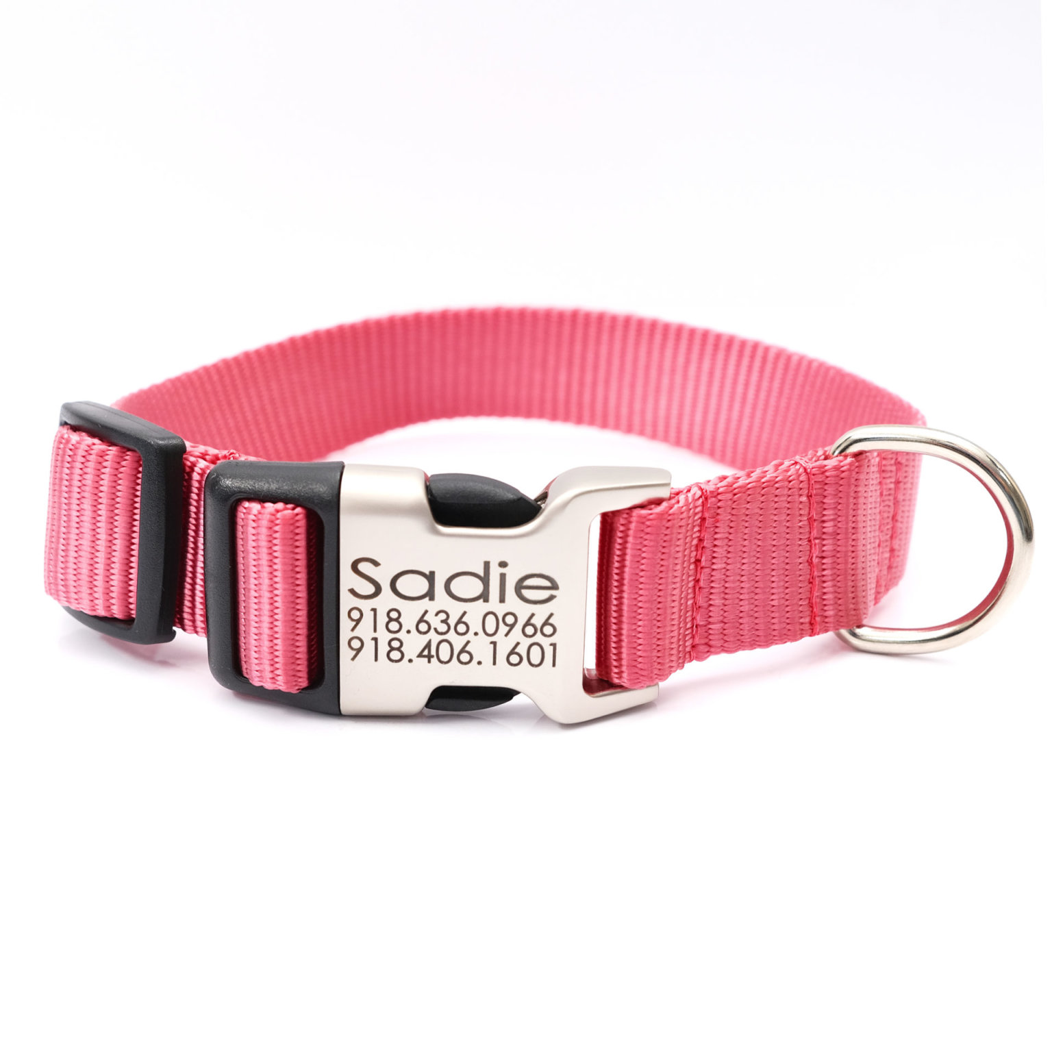 Nylon Webbing Dog Collars - Personalized & Heavy Duty
