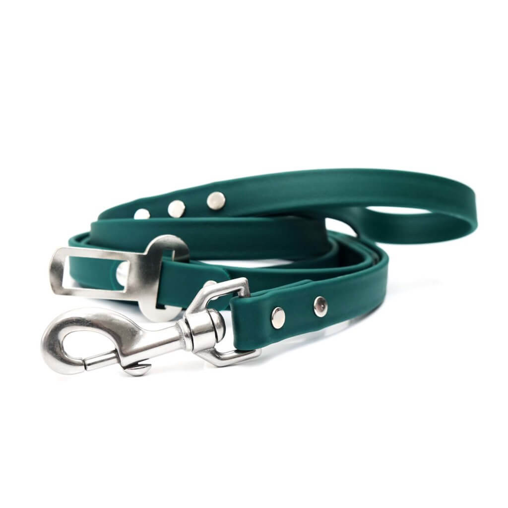 Designer Dog Leashes | Custom & Personalized | Shop at Mimi Green