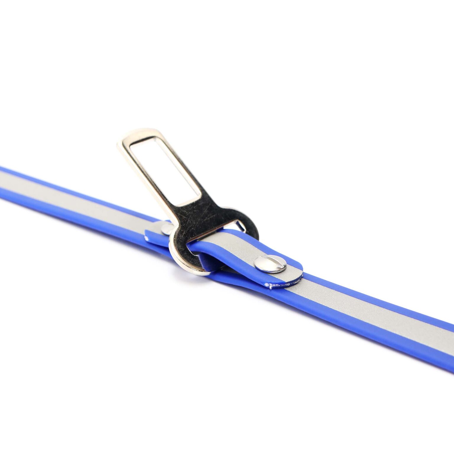 Designer Dog Leashes | Custom & Personalized | Shop at Mimi Green