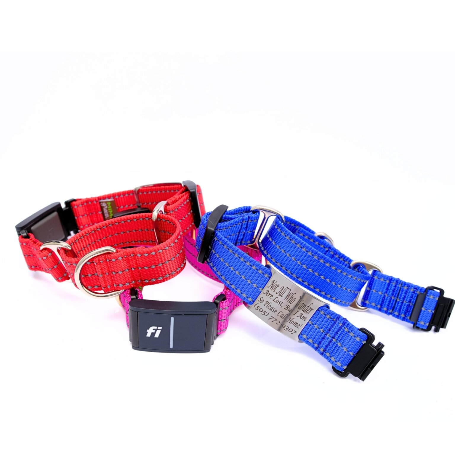 Fi Compatible Reflective Nylon Martingale Dog Collar